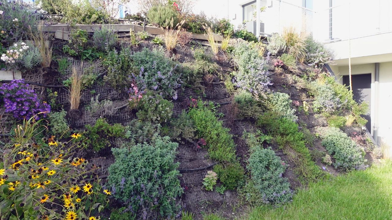 Prudký svah proměnili v trvalkový záhon: Jak ho vytvořit, aby nespadl a ...